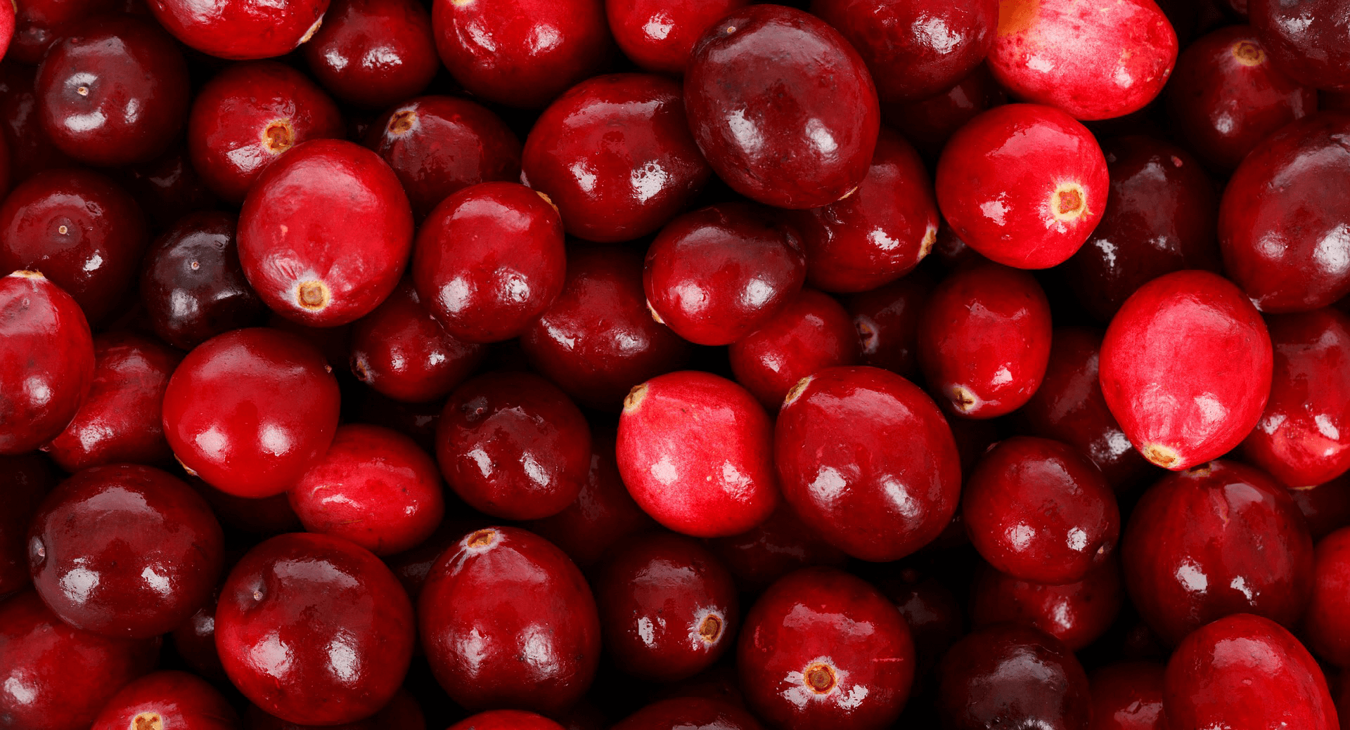 What Are the Most Common UTI Antibiotics? – CRANEL